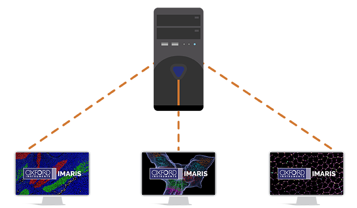 Imaris for Core Facilities | Full Power of Imaris at your Fingertips ...