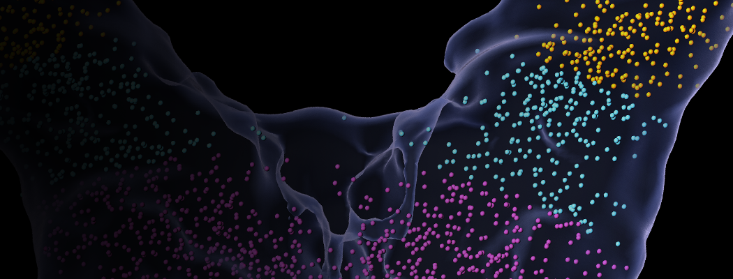 Microscopy Image Analysis Software - Imaris - Oxford Instruments