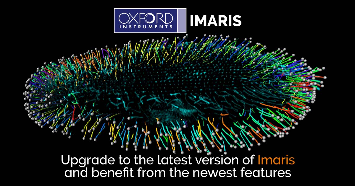 Imaris Upgrade - Imaris - Oxford Instruments
