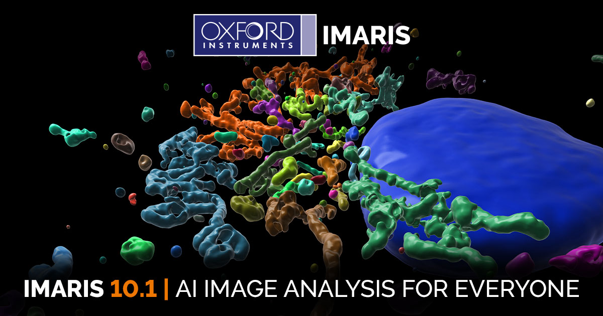 Imaris 10.1 – Microscopy Image Analysis with AI Filament Tracer - Imaris - Oxford Instruments