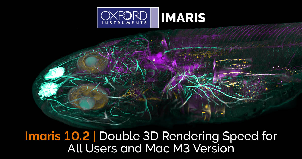 Imaris 10.2 – Double 3D Rendering Speed for All Users and Mac ARM ...